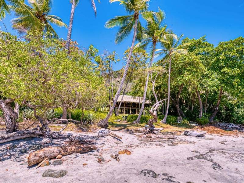 Best jungle and beach destinations for really wild adventures